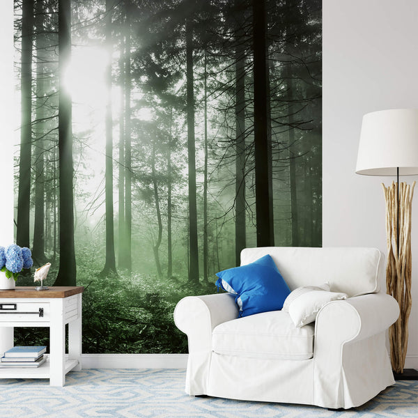 Anaglypta Wall-art Sunrays Wall Mural - 5181 | Cover Your Wall